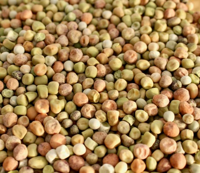 Open Pollinated Vegetable Seeds & Flower Seeds To Plant – Vibrant Earth ...