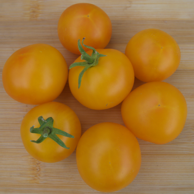 Gold Nugget Tomato – Vibrant Earth Seeds