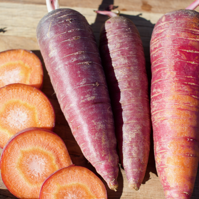 Dragon Carrot – Vibrant Earth Seeds