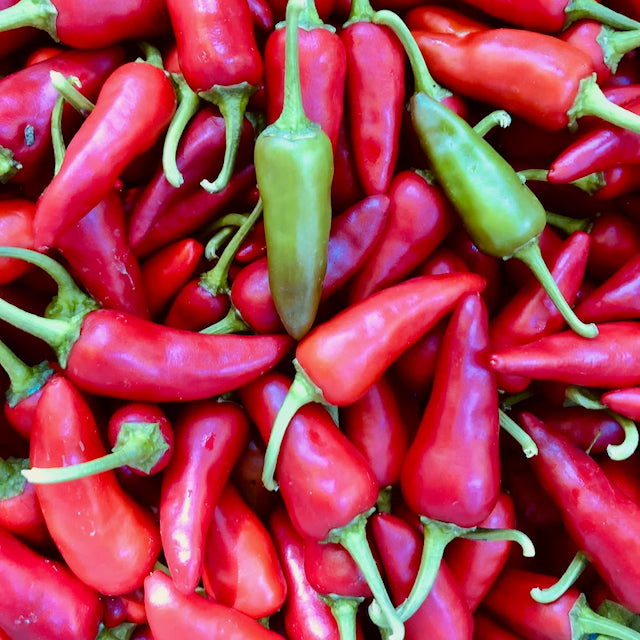 Thai Giant Pepper – Vibrant Earth Seeds